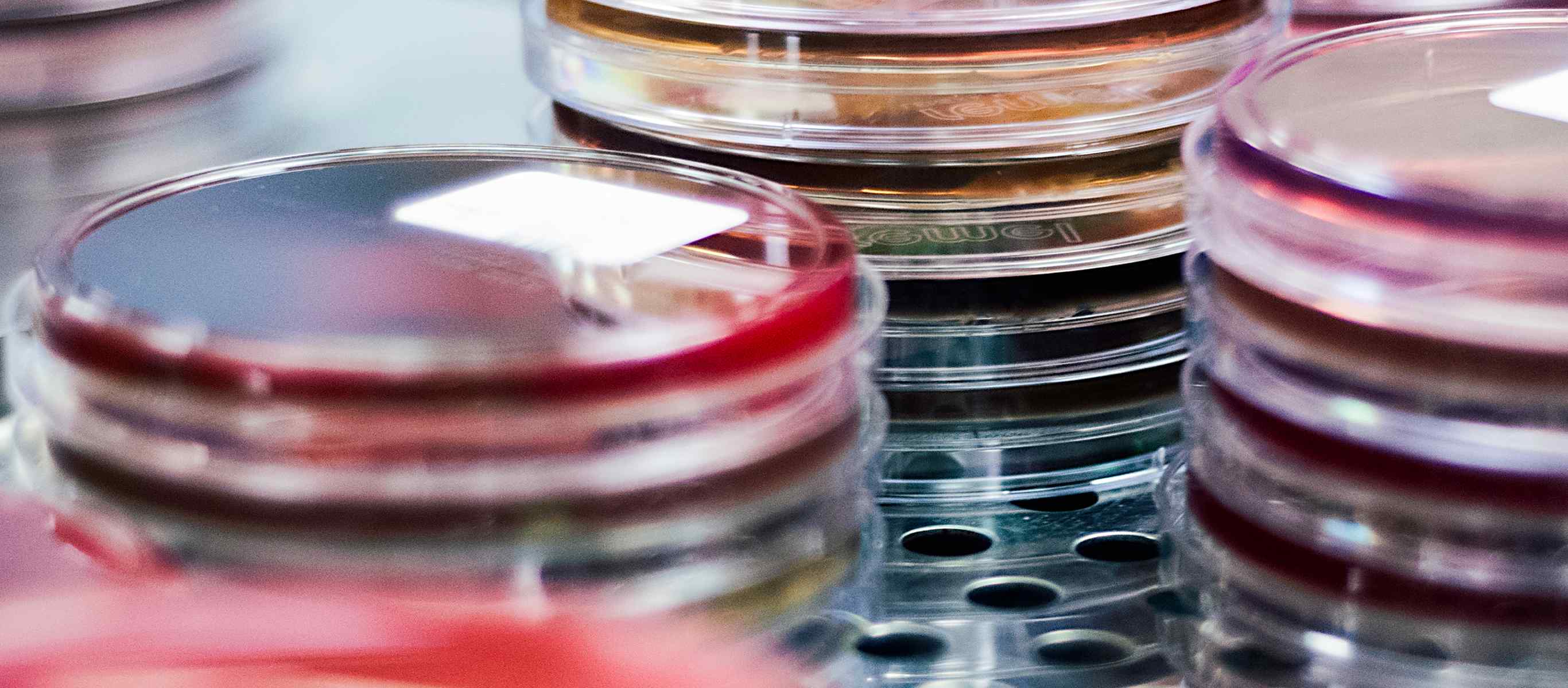 How to Reduce Hospital-Onset Clostridioides Difficile | HealthLeaders Media