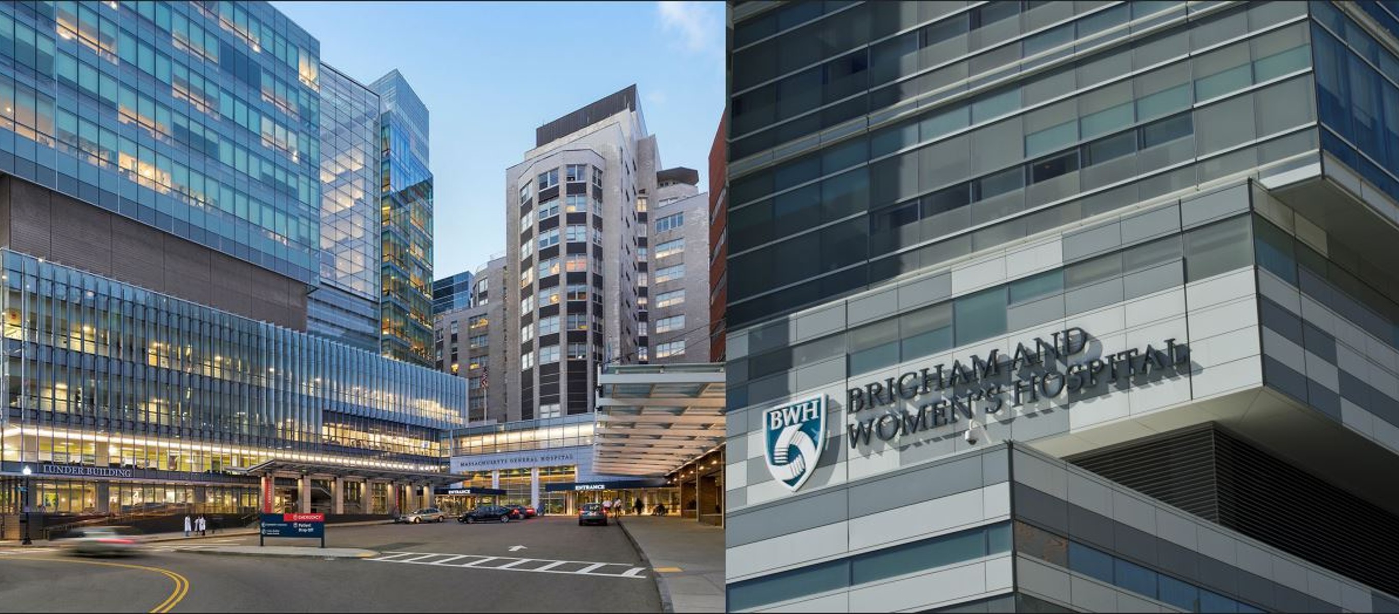 Q&A: Breaking Down the Complexities of Healthcare with Anne Klibanski ...